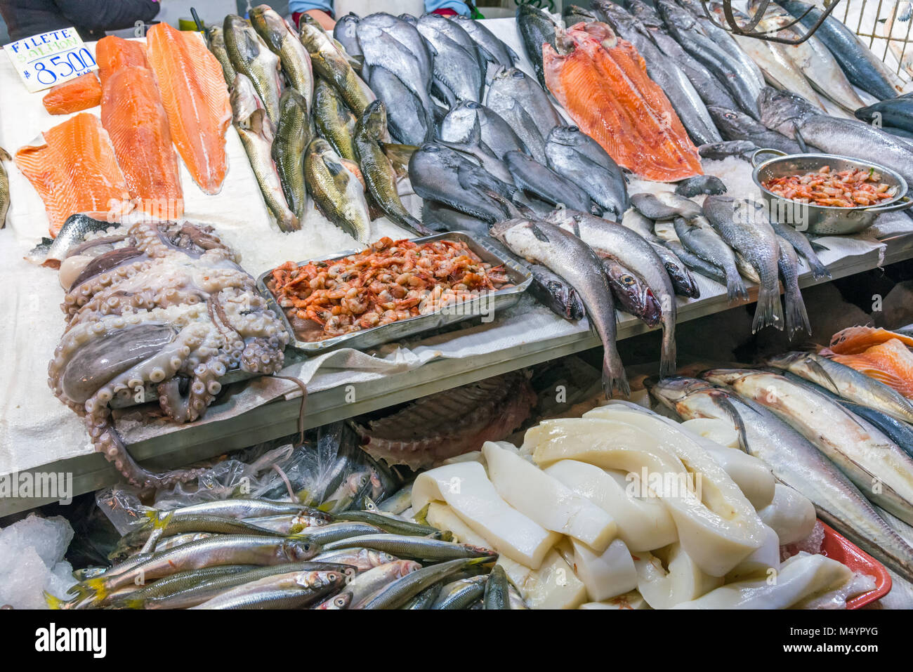 Fish and seafood at a market in Santiago, Chile Stock Photo - Alamy