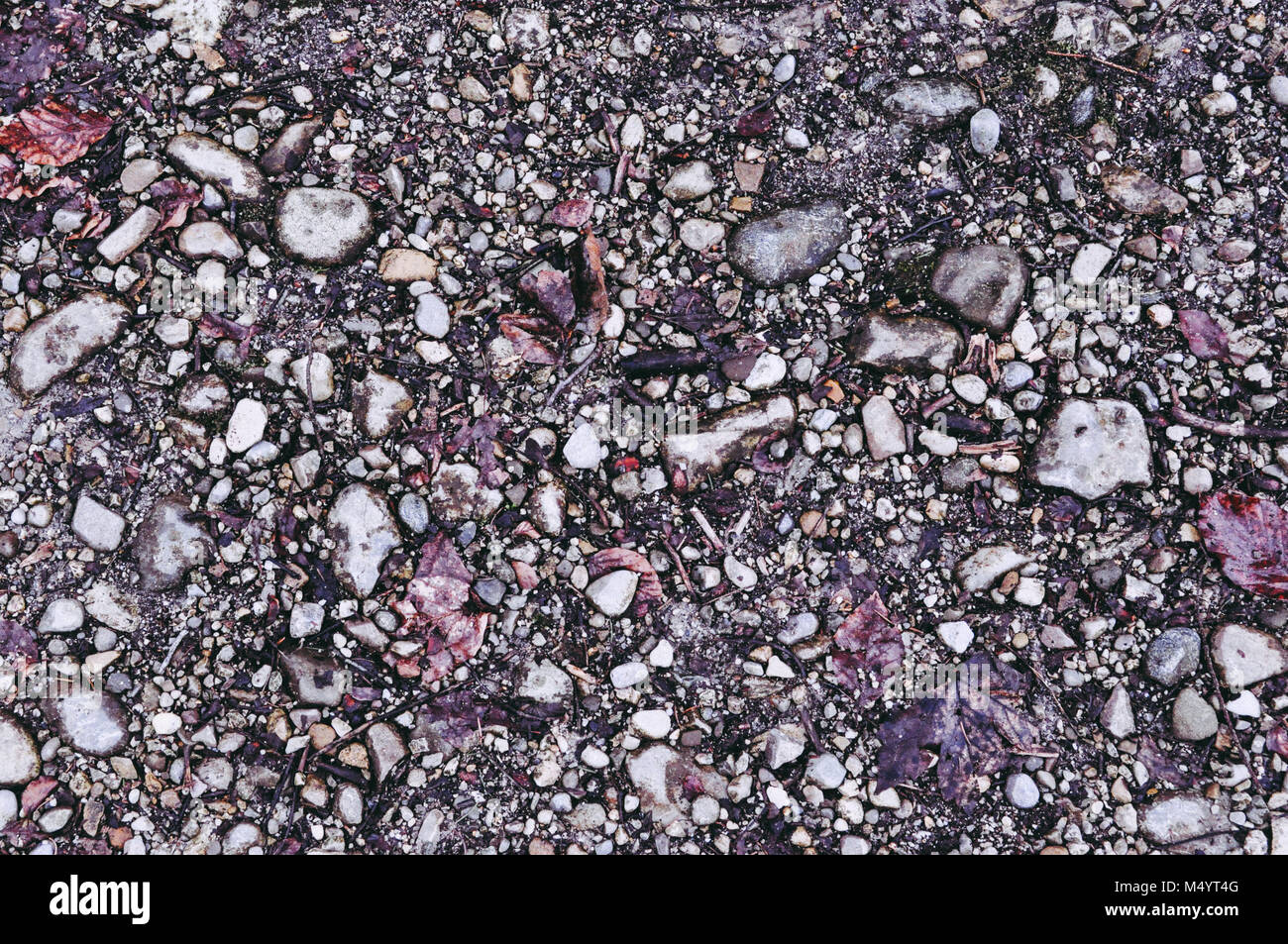 Winter rocks forest background texture Stock Photo - Alamy