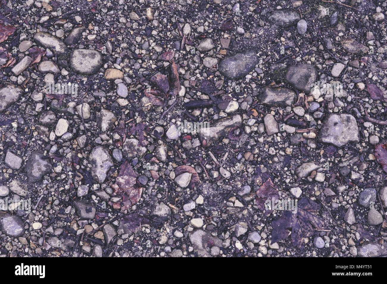 Winter rocks forest background texture Stock Photo - Alamy