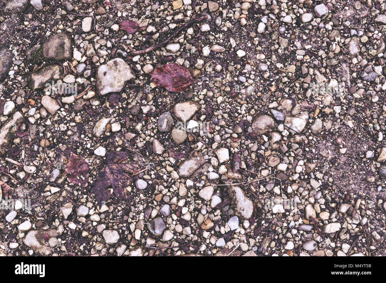 Winter rocks forest background texture Stock Photo - Alamy