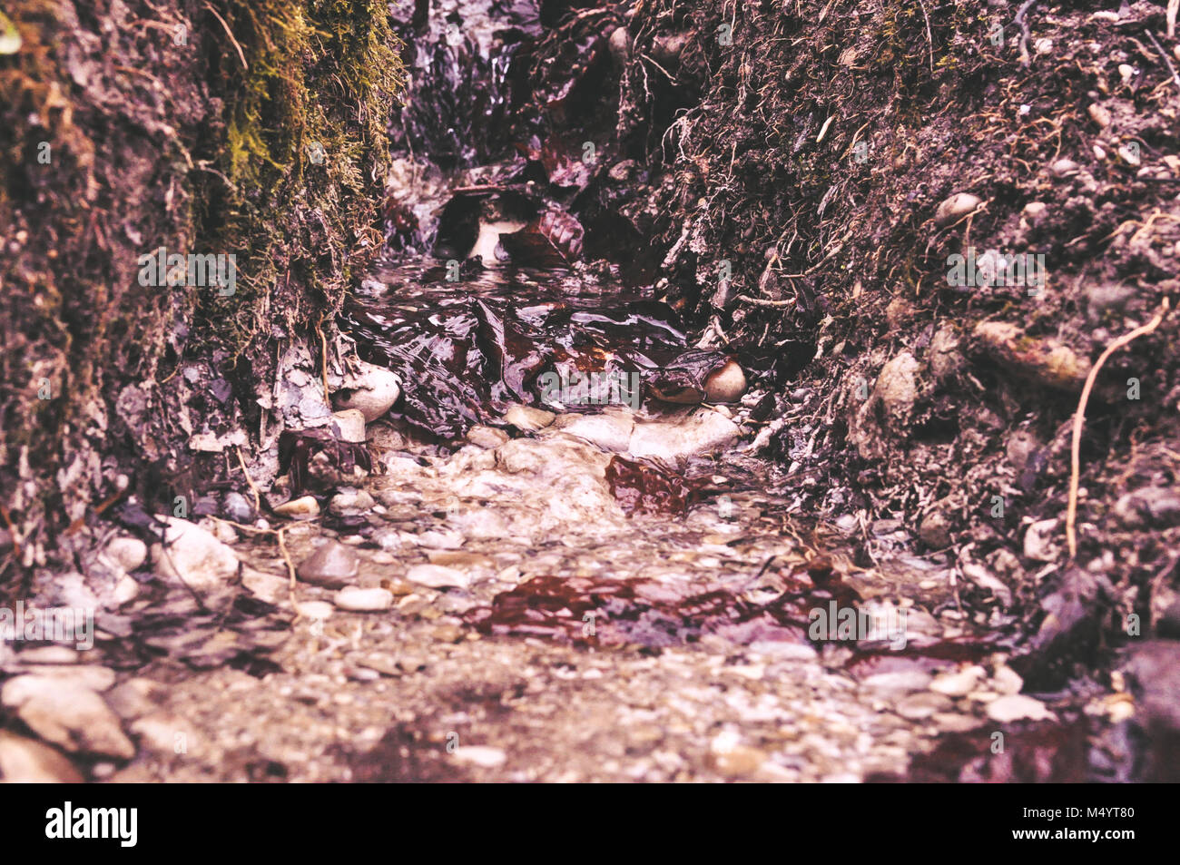 Winter rocks forest background texture Stock Photo - Alamy