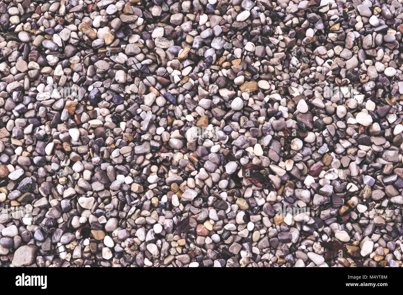 Winter rocks forest background texture Stock Photo - Alamy