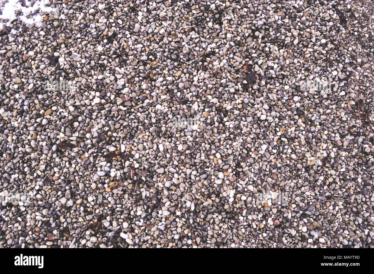 Winter rocks forest background texture Stock Photo - Alamy