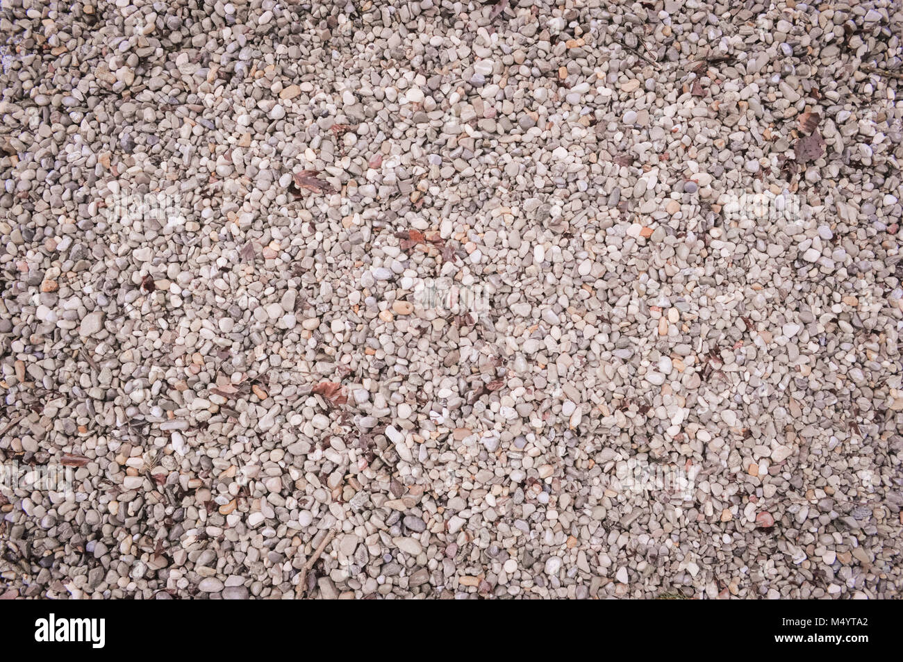 Winter rocks forest background texture Stock Photo - Alamy