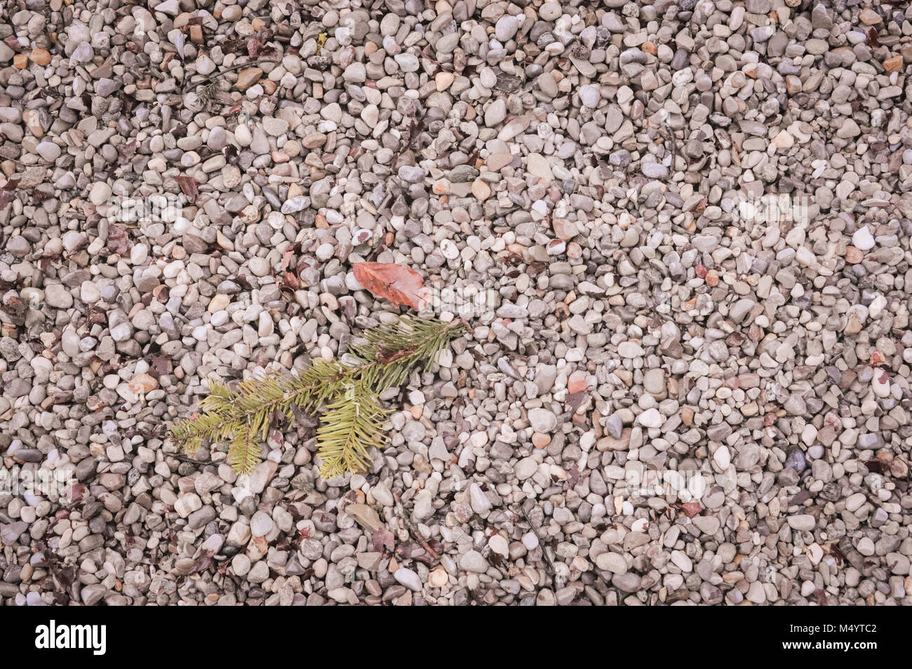 Winter rocks forest background texture Stock Photo - Alamy