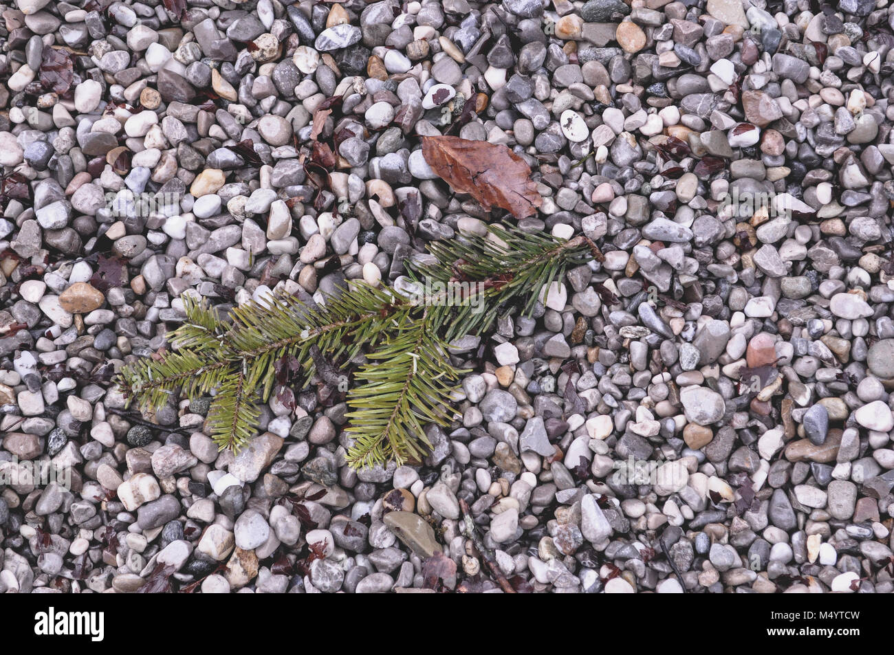 Winter rocks forest background texture Stock Photo - Alamy