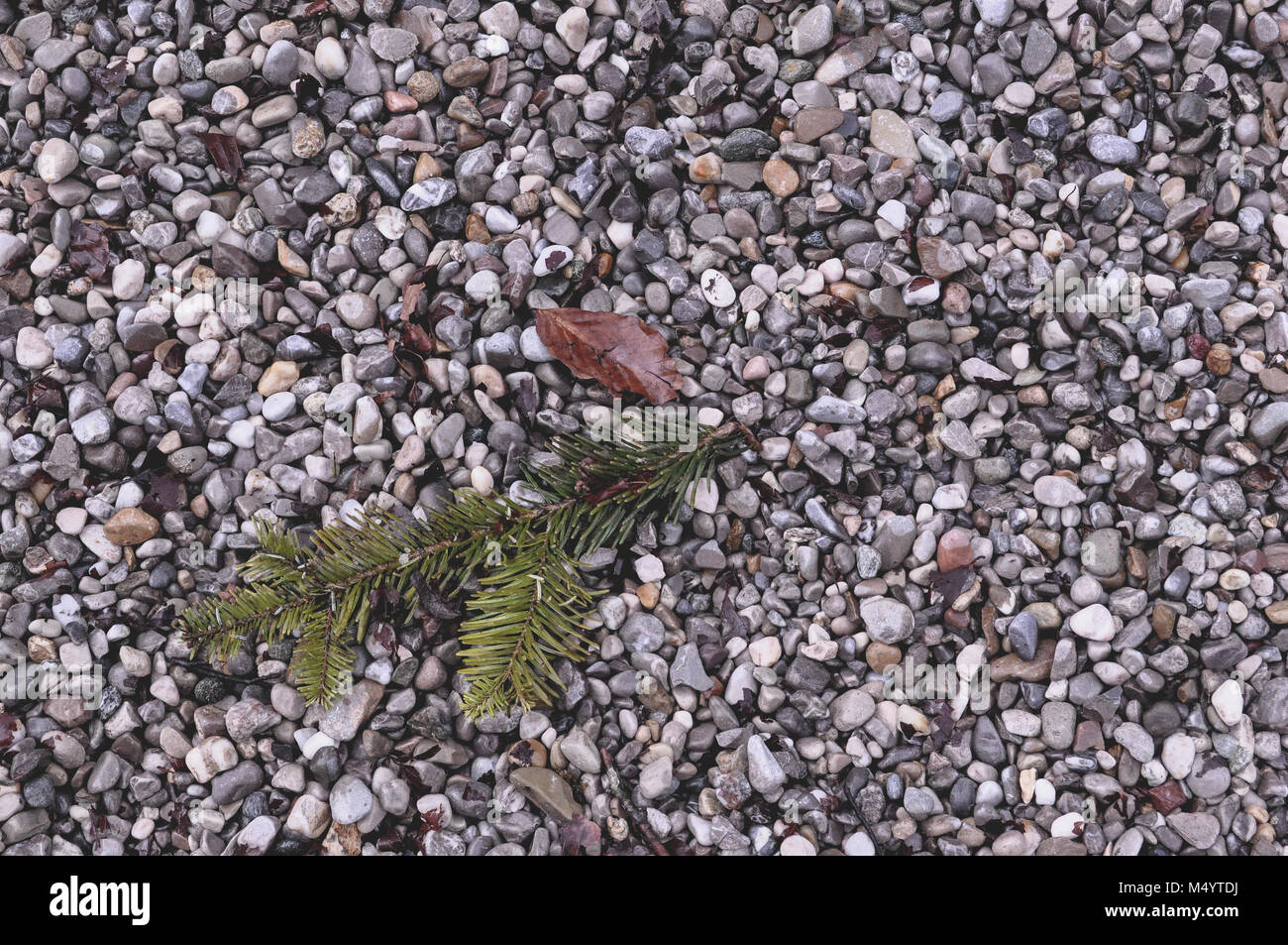 Winter rocks forest background texture Stock Photo - Alamy