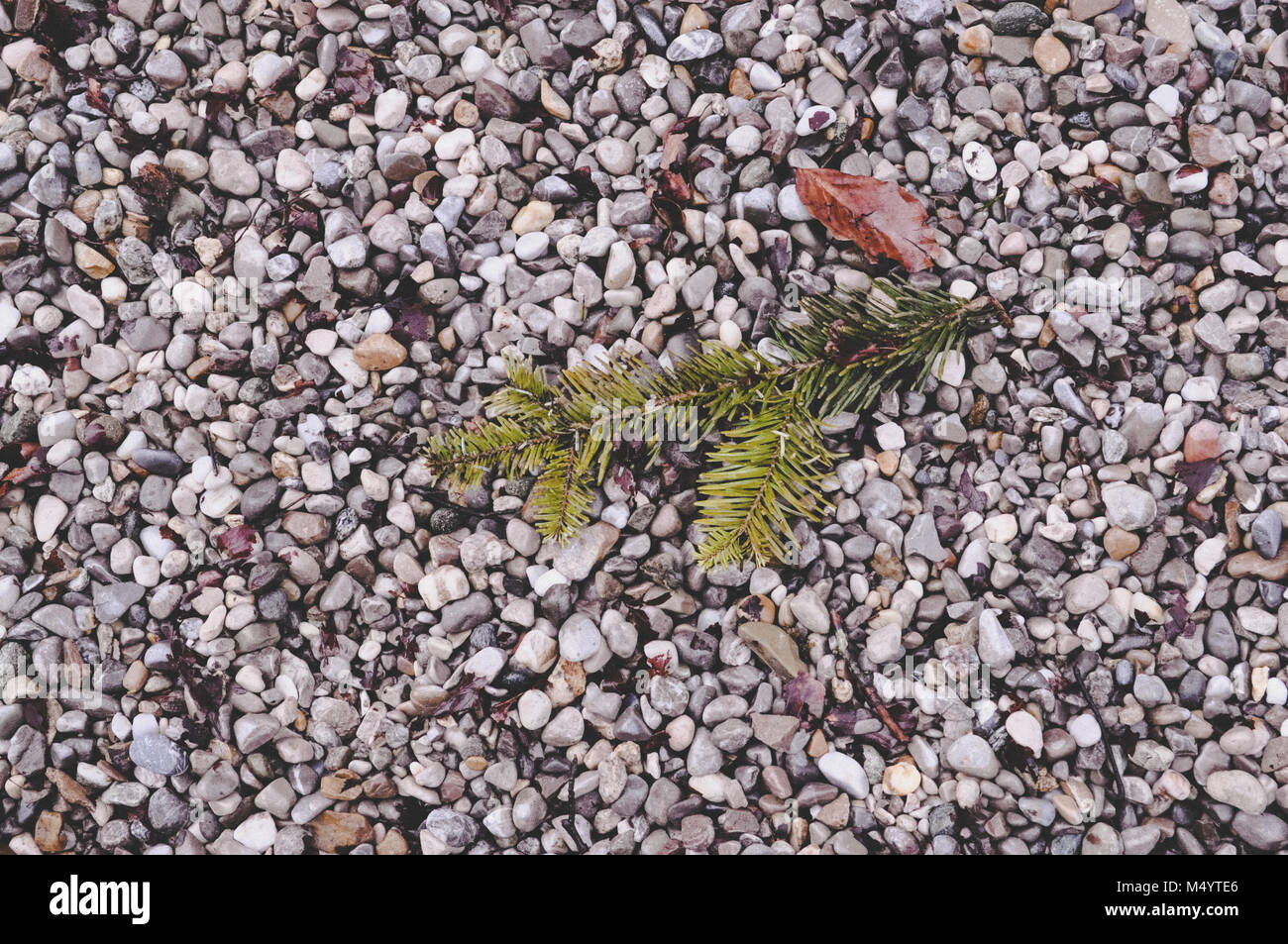 Winter rocks forest background texture Stock Photo - Alamy