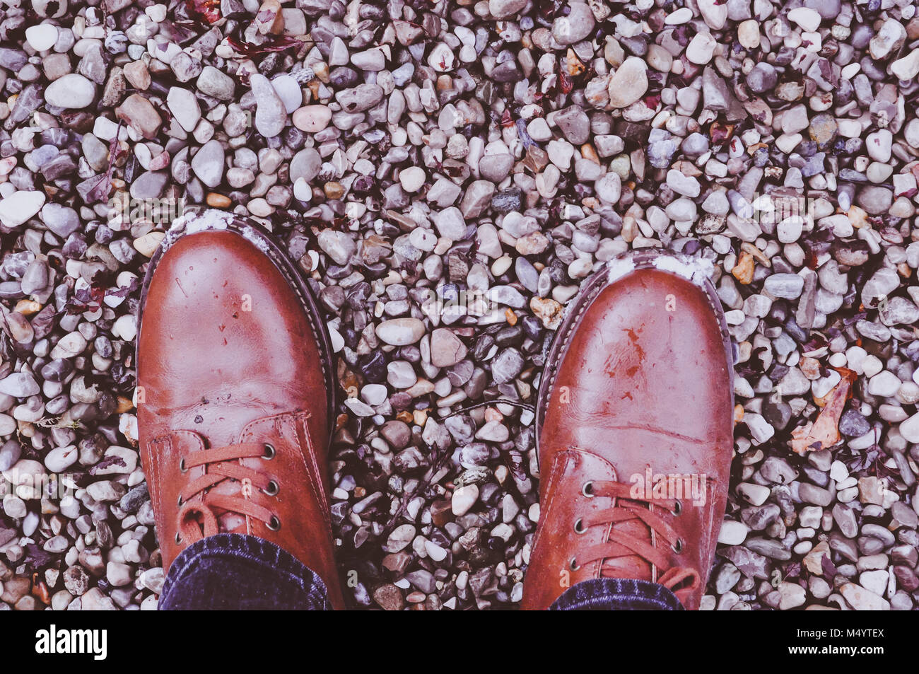 Winter rocks forest background texture Stock Photo - Alamy
