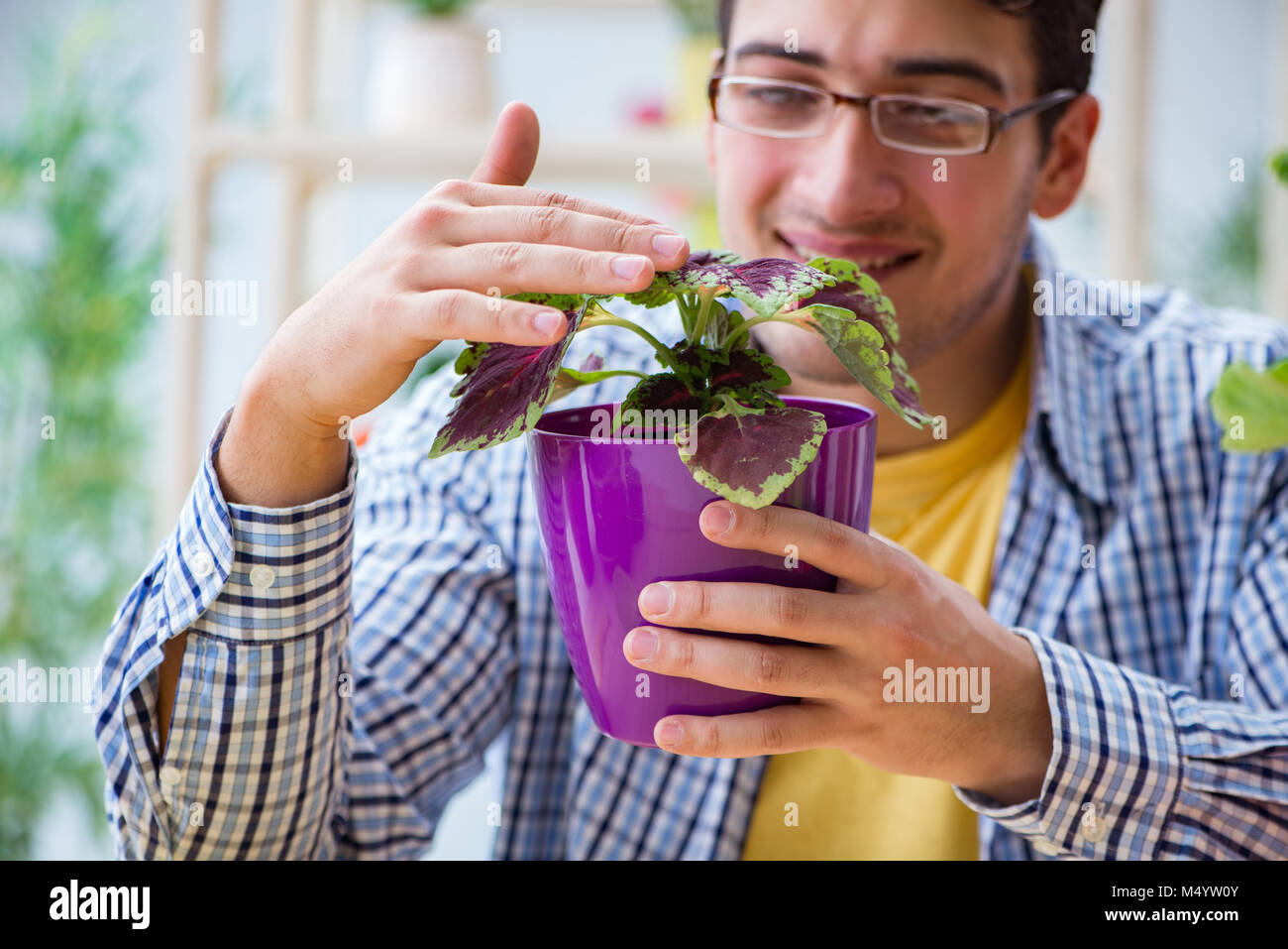 Young man florist working in a flower shop Stock Photo - Alamy