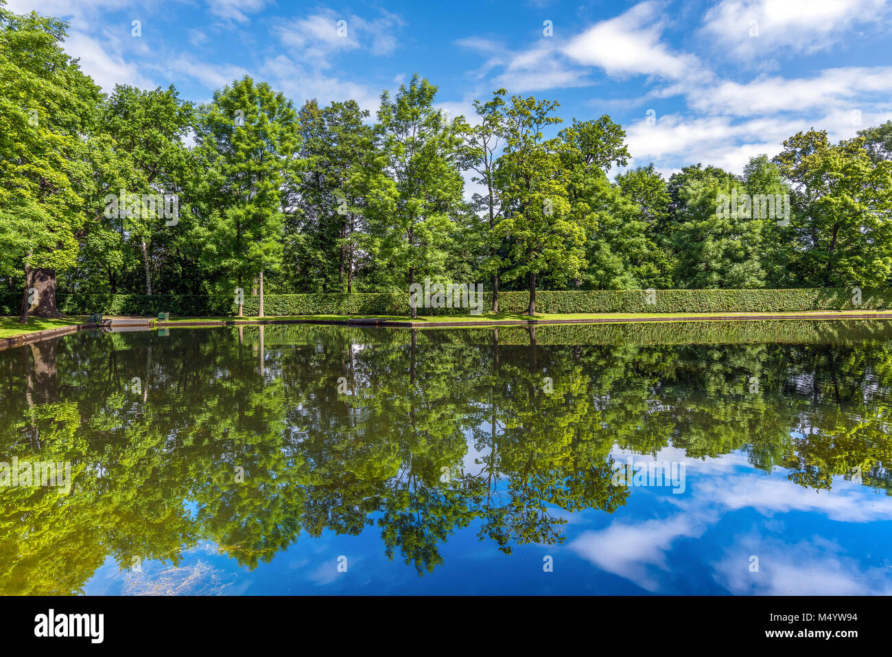 Park bushes hi-res stock photography and images - Alamy