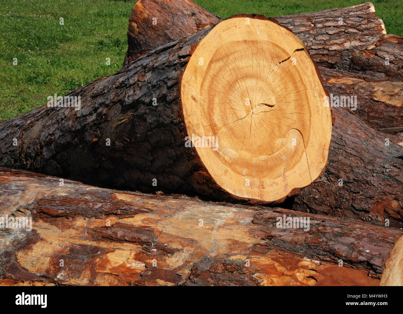 Strong beams hi-res stock photography and images - Alamy