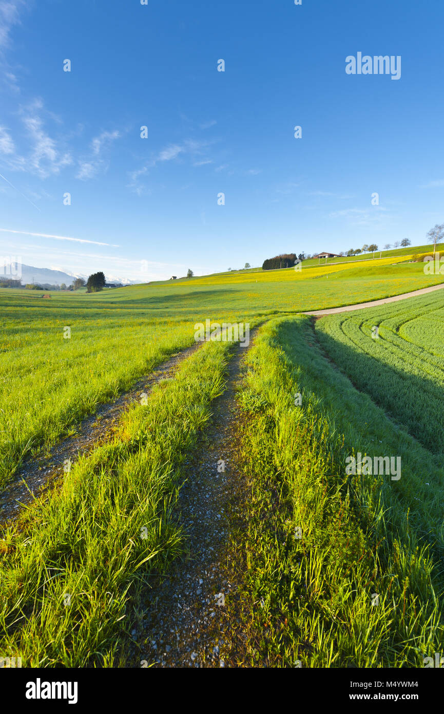 Agriculture in Switzerland Stock Photo - Alamy