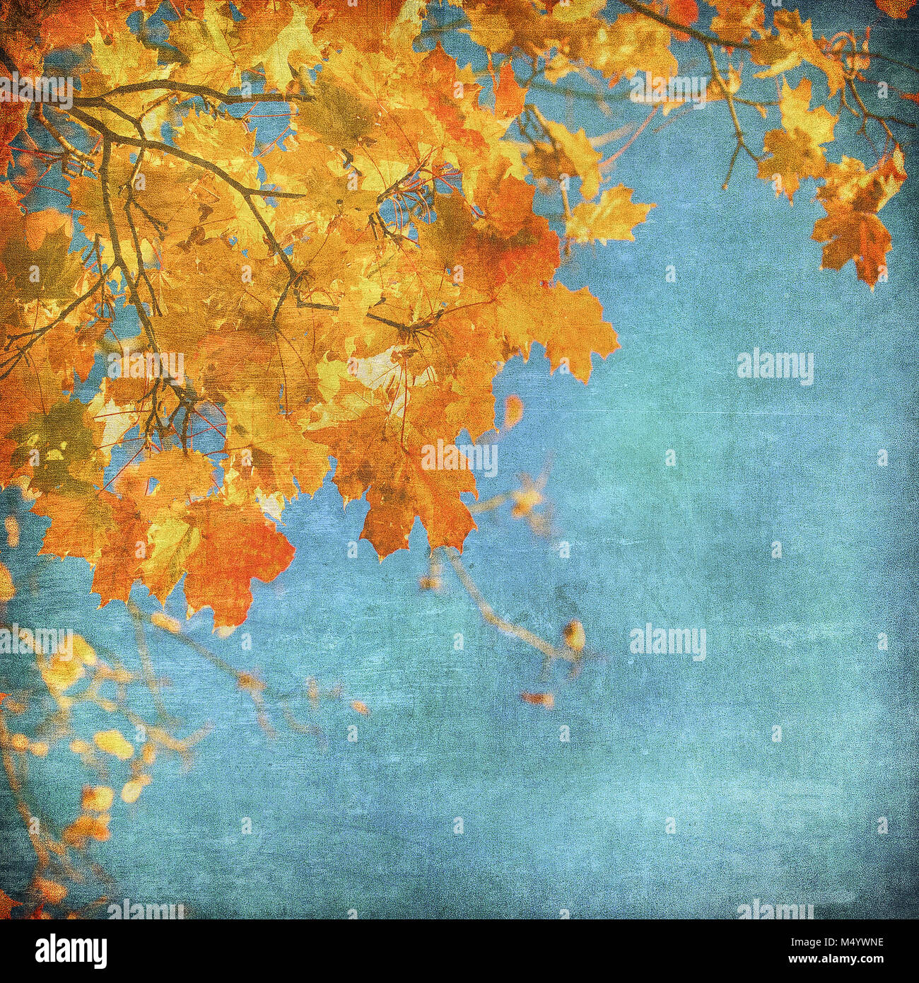 grunge background with autumn leaves Stock Photo - Alamy