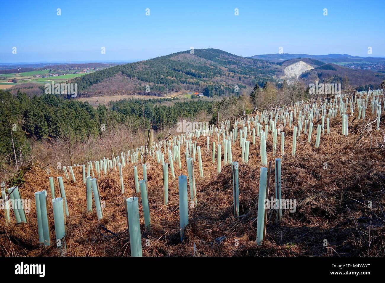 country field with young trees and hills in the background Stock Photo ...