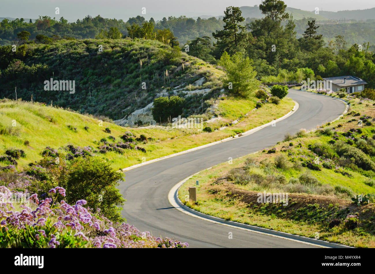 Steep and winding asphalt road amidst spring blooms on hills, canyons ...