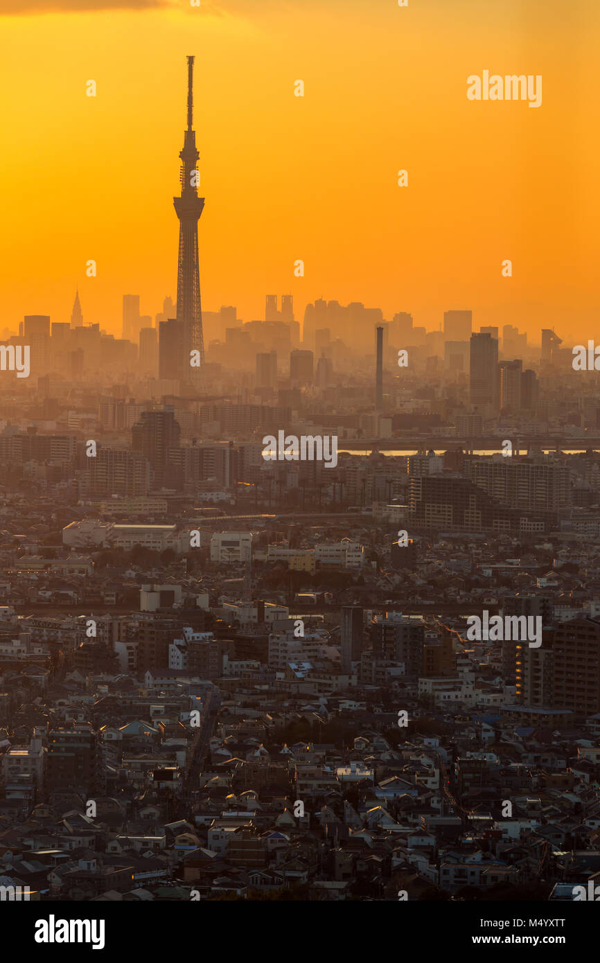 Tokyo sight seeing hi-res stock photography and images - Alamy