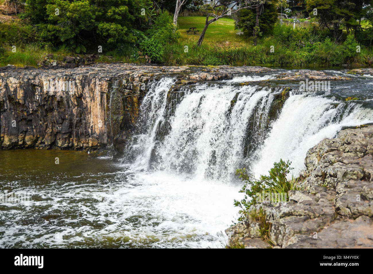 Haruru falls, Paihia, new zealand Stock Photo - Alamy
