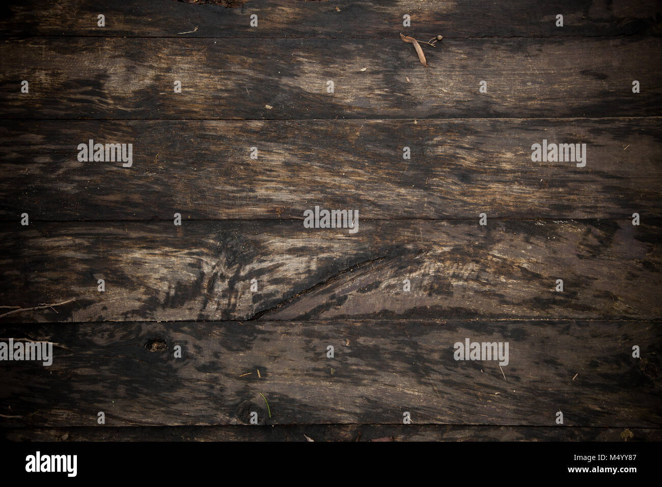 wet wooden trail bridge walking way,close up of wood plank texture ...