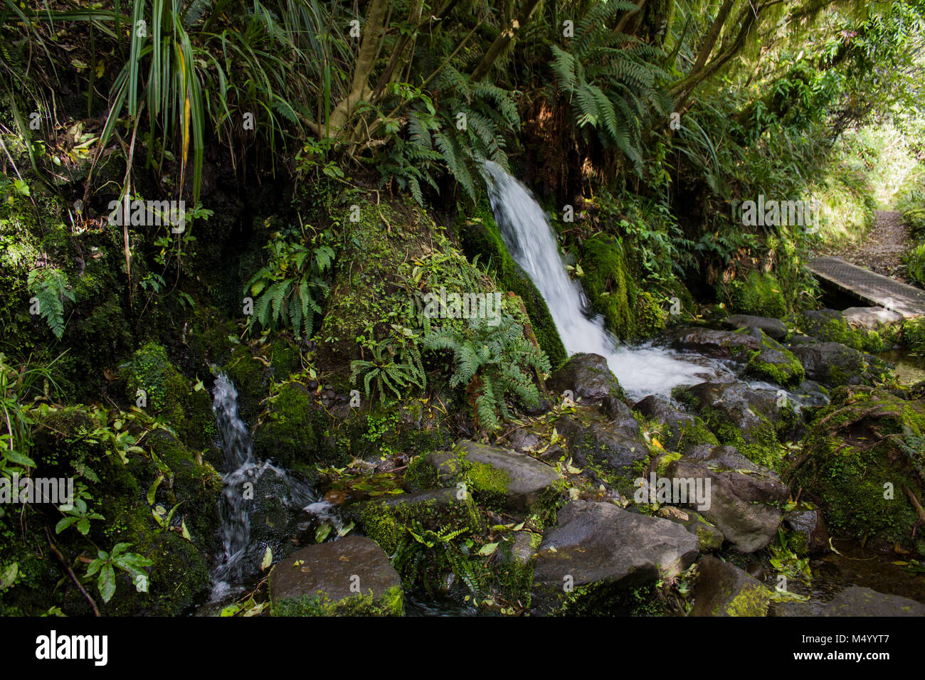 Small waterfall of a river running through forest Stock Photo - Alamy