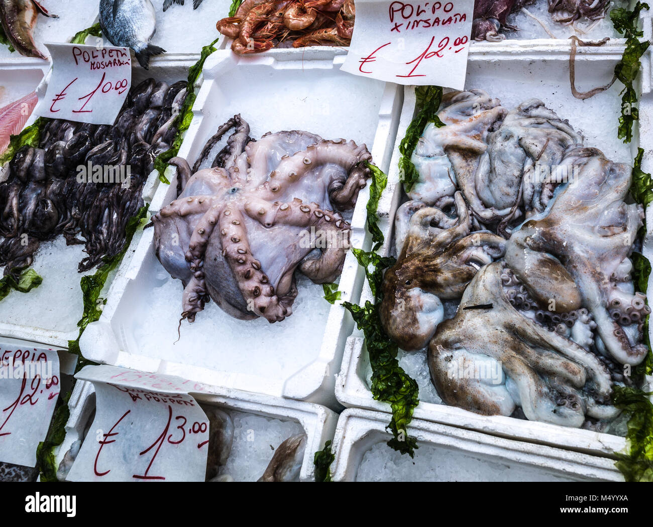 Octopus at market Stock Photo - Alamy