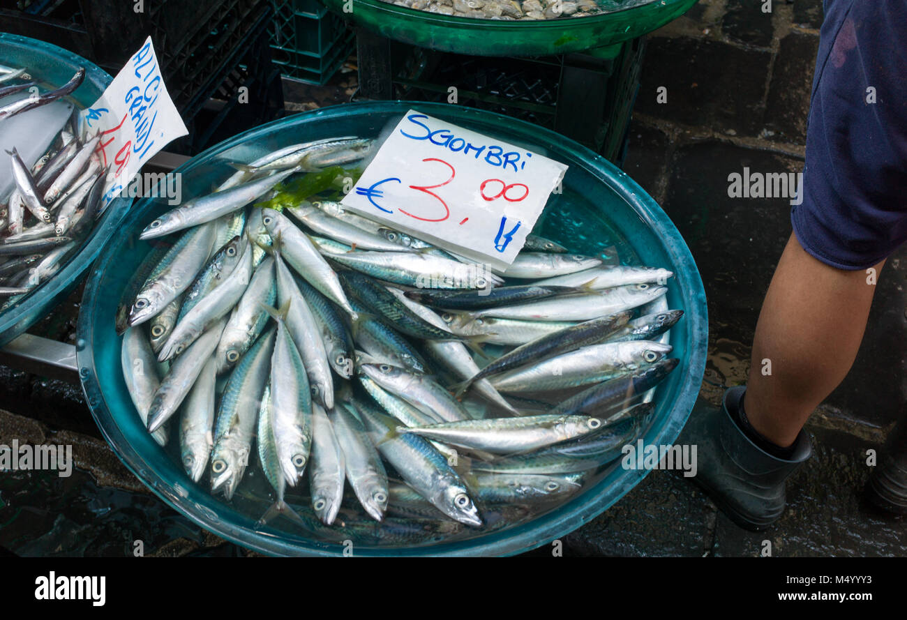 Fish exposed in market Stock Photo - Alamy