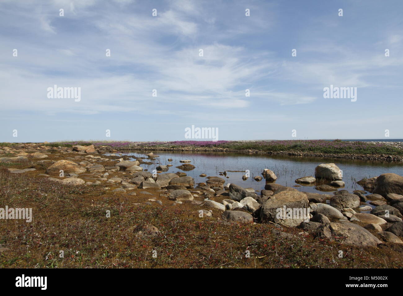Beautiful arctic landscape in summer colours with blue skies and soft ...