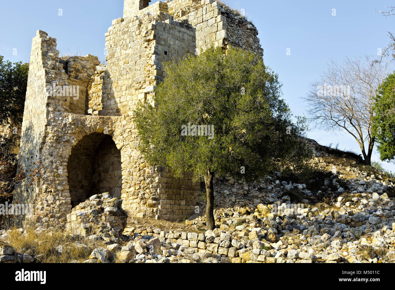Remnants of Crusader castle in Israel Stock Photo - Alamy