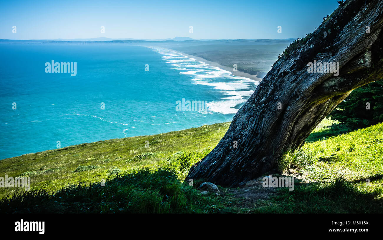 Point reyes national seashore landscapes in california Stock Photo - Alamy