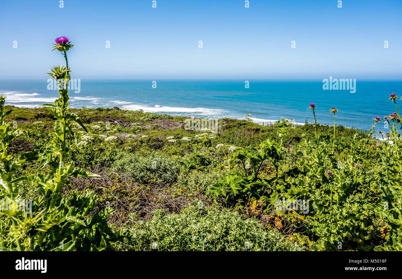 pacific ocean coastal scenes of beaches rocks and cliffs Stock Photo ...