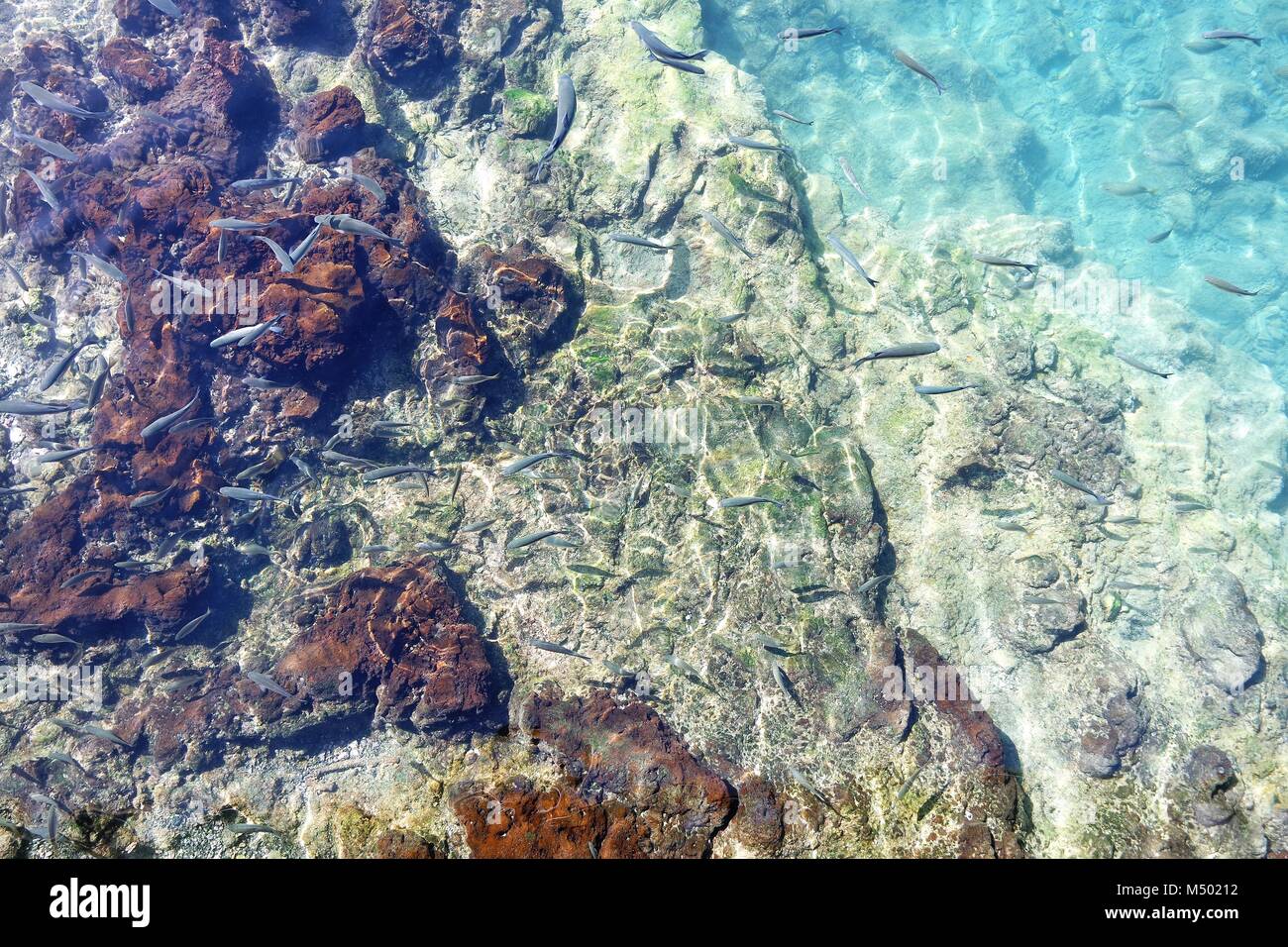 Crystal clear sea Stock Photo - Alamy