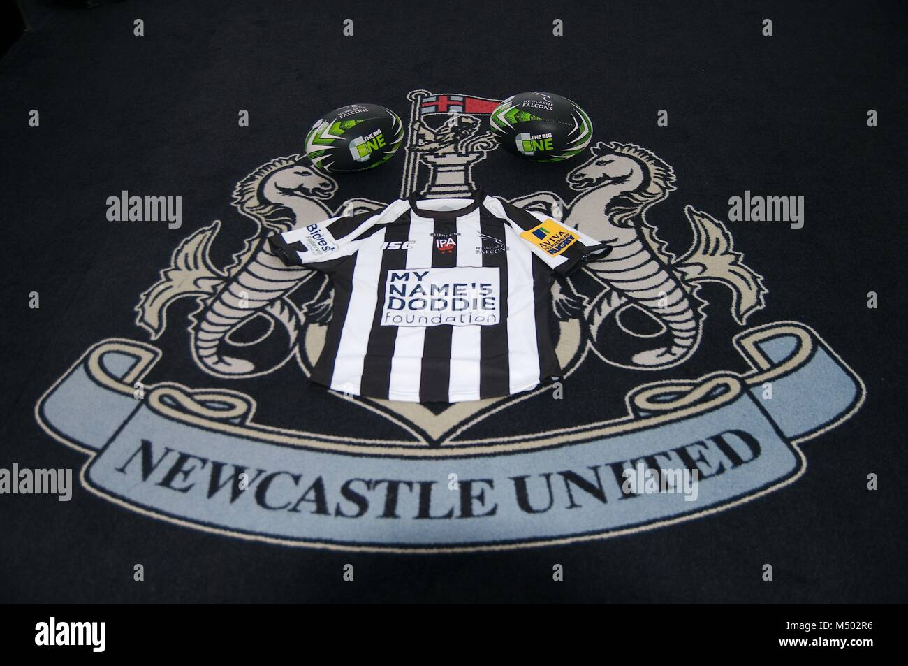 Newcastle united crest hi-res stock photography and images - Alamy