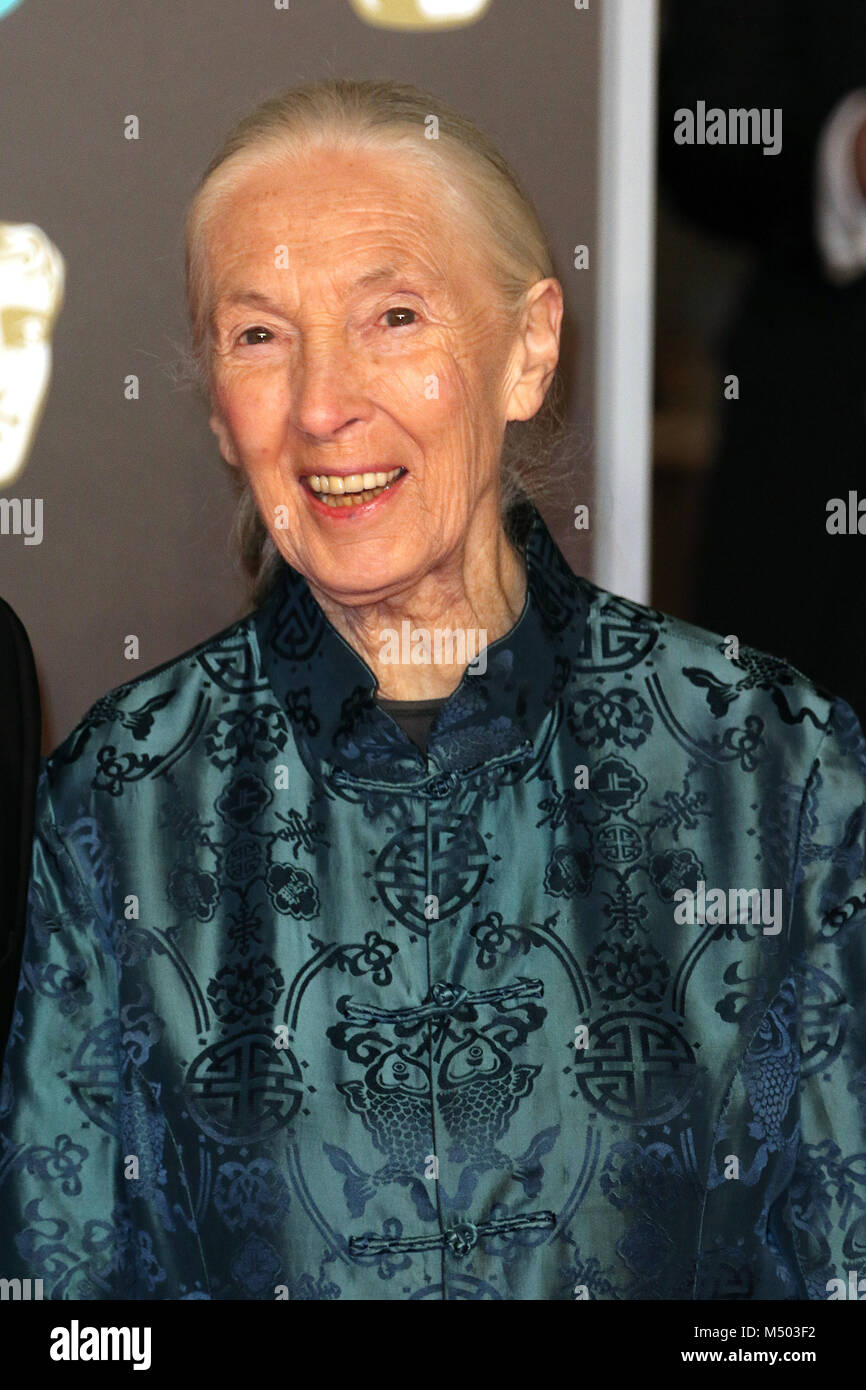 British jane goodall hi-res stock photography and images - Alamy