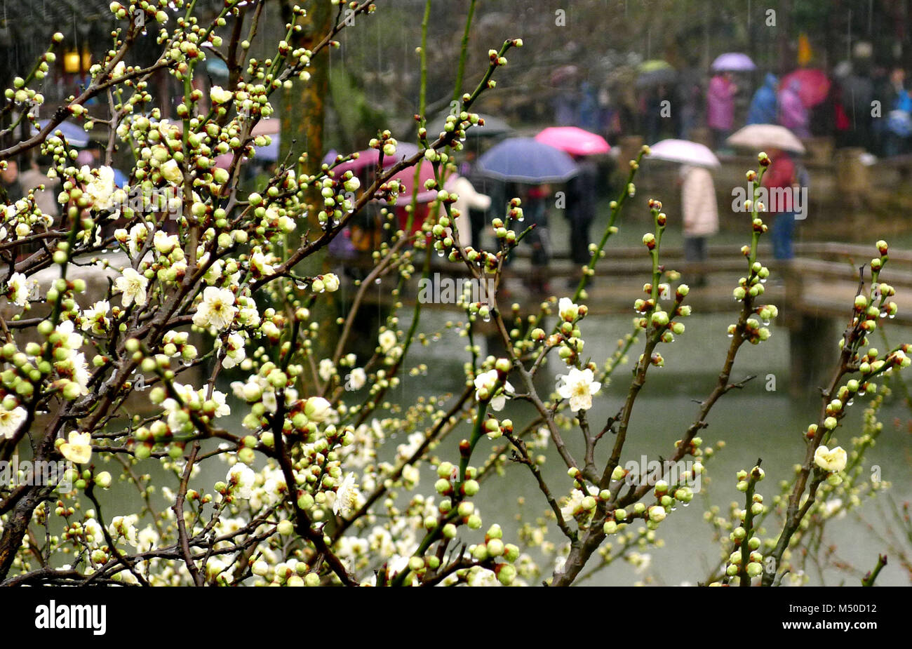 Suzhou, China's Jiangsu Province. 19th Feb, 2018. Tourists view flowers ...
