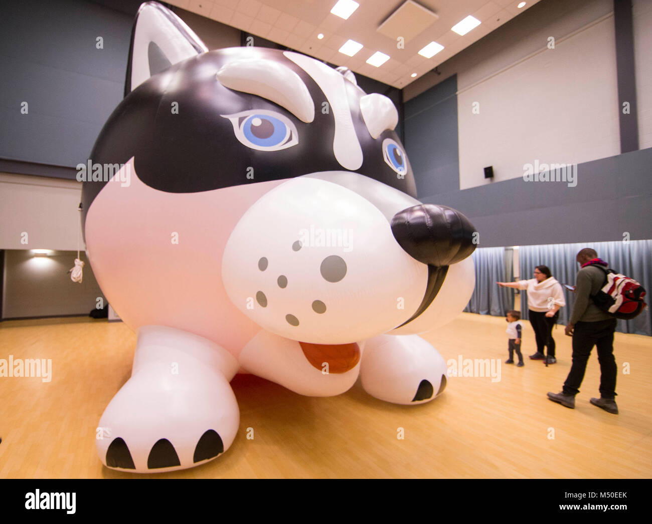 Mississauga, Canada. 20th Feb, 2018. A giant inflatable husky is on ...