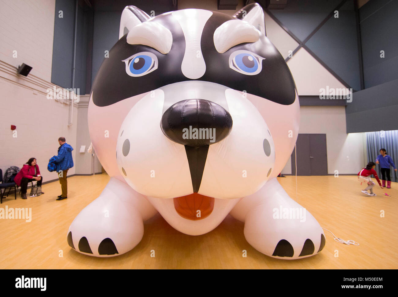 Mississauga, Canada. 20th Feb, 2018. A giant inflatable husky is on ...