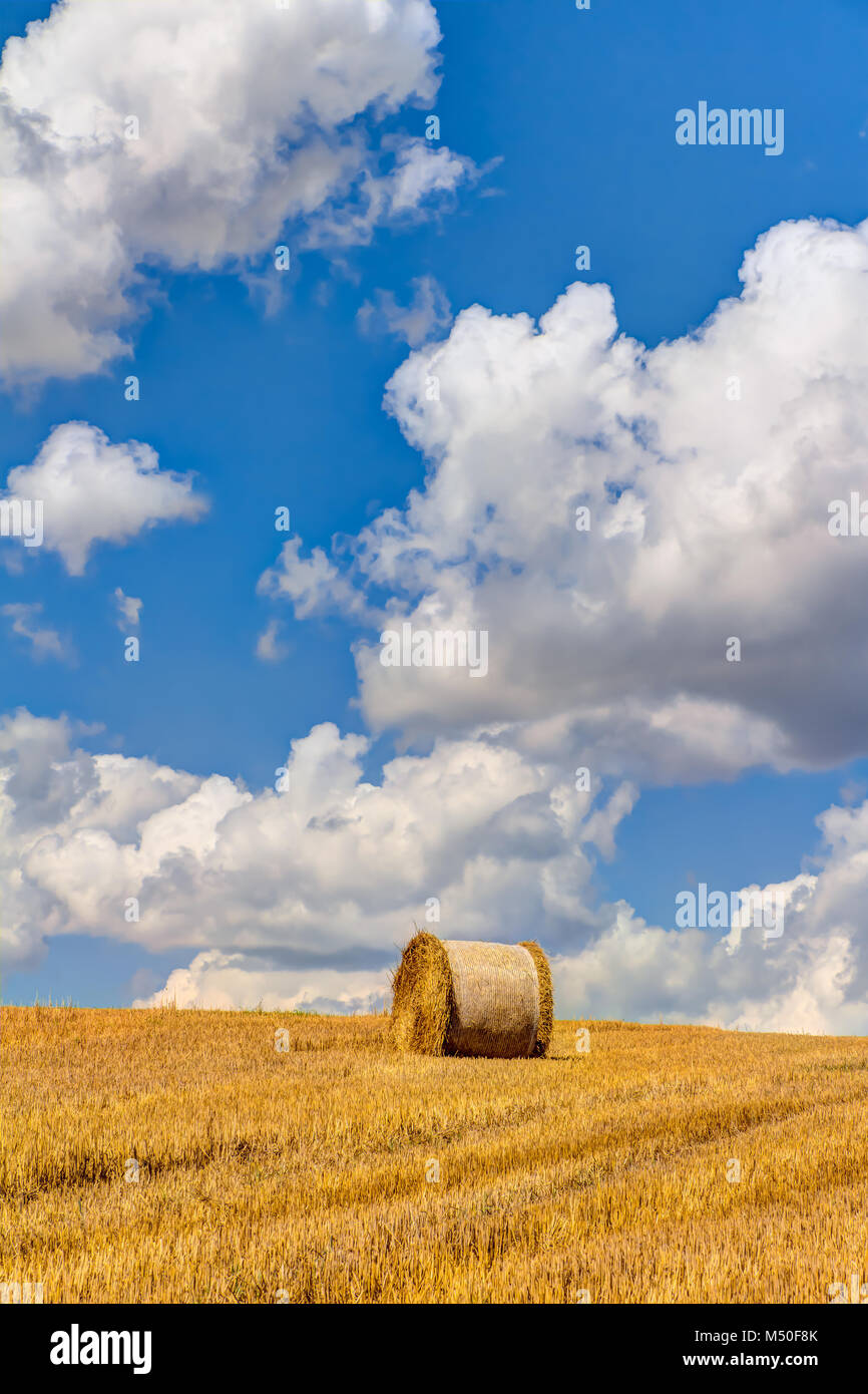 Chaff bales hi-res stock photography and images - Alamy