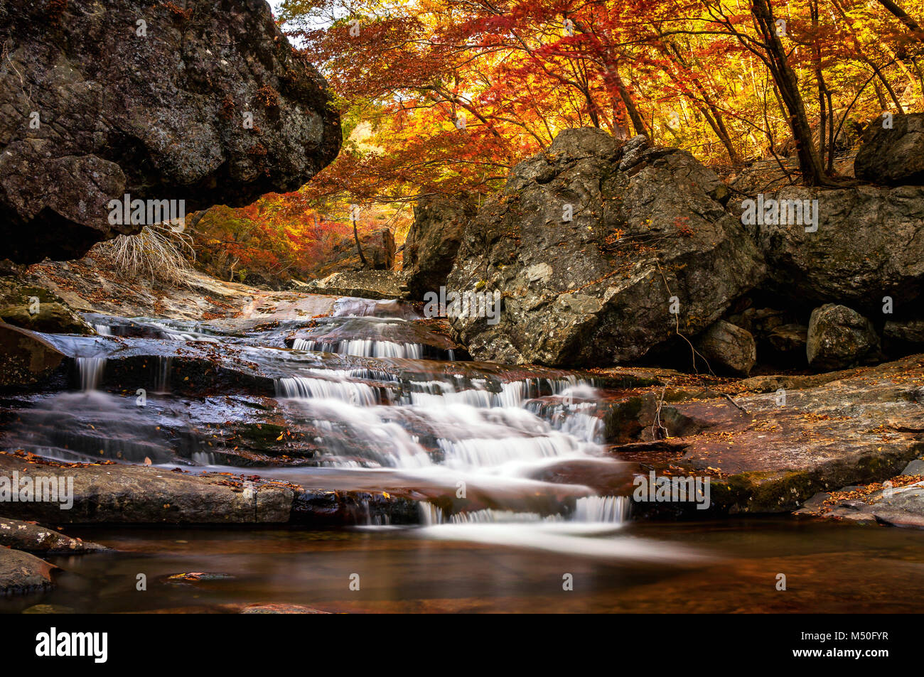 Cascade cascading park asia hi-res stock photography and images - Alamy