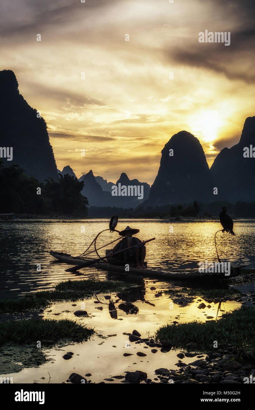 The cormant fisherman in li river Stock Photo - Alamy