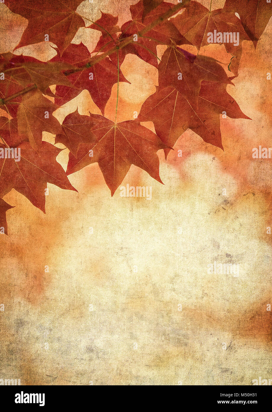 grunge background with autumn leaves Stock Photo - Alamy