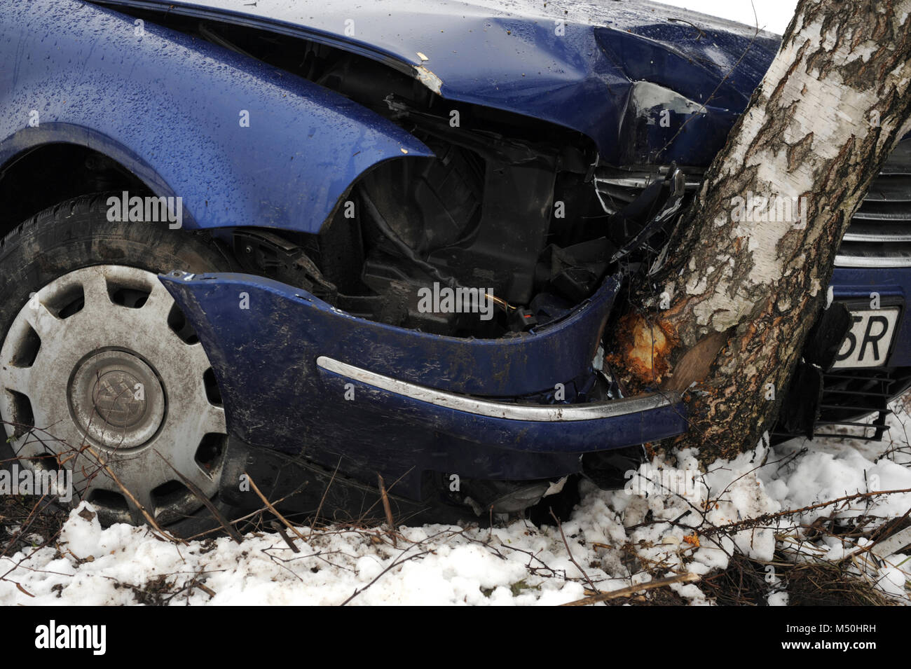 Blue Volkswagen Passat saloon crashed into a silver birch tree in ...