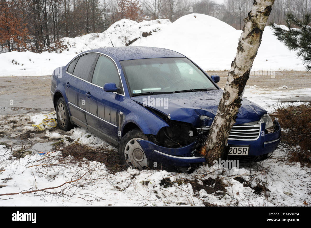 Blue Volkswagen Passat saloon crashed into a silver birch tree in ...