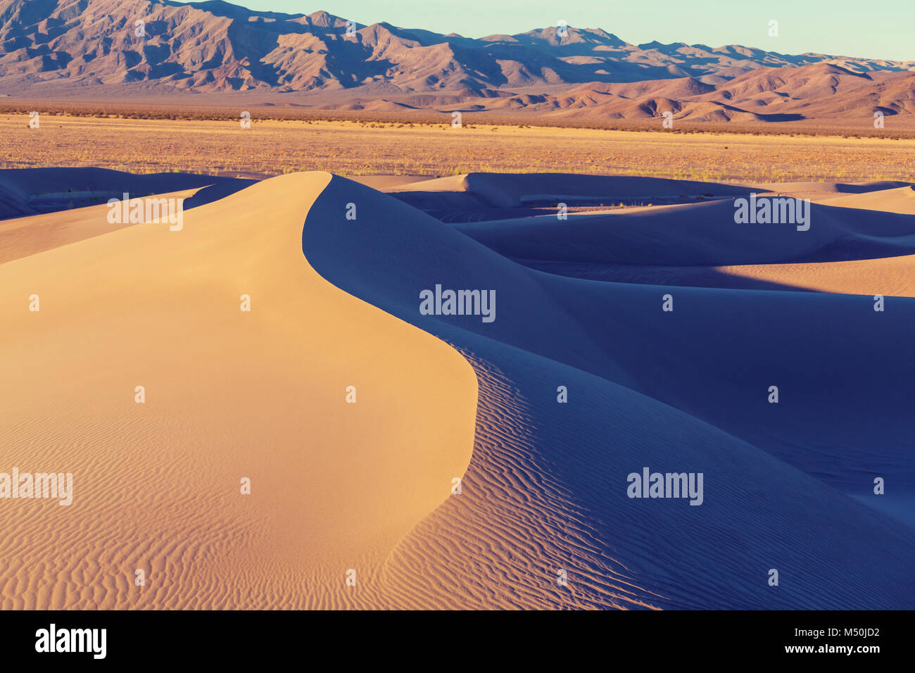 Sand dunes in California Stock Photo - Alamy