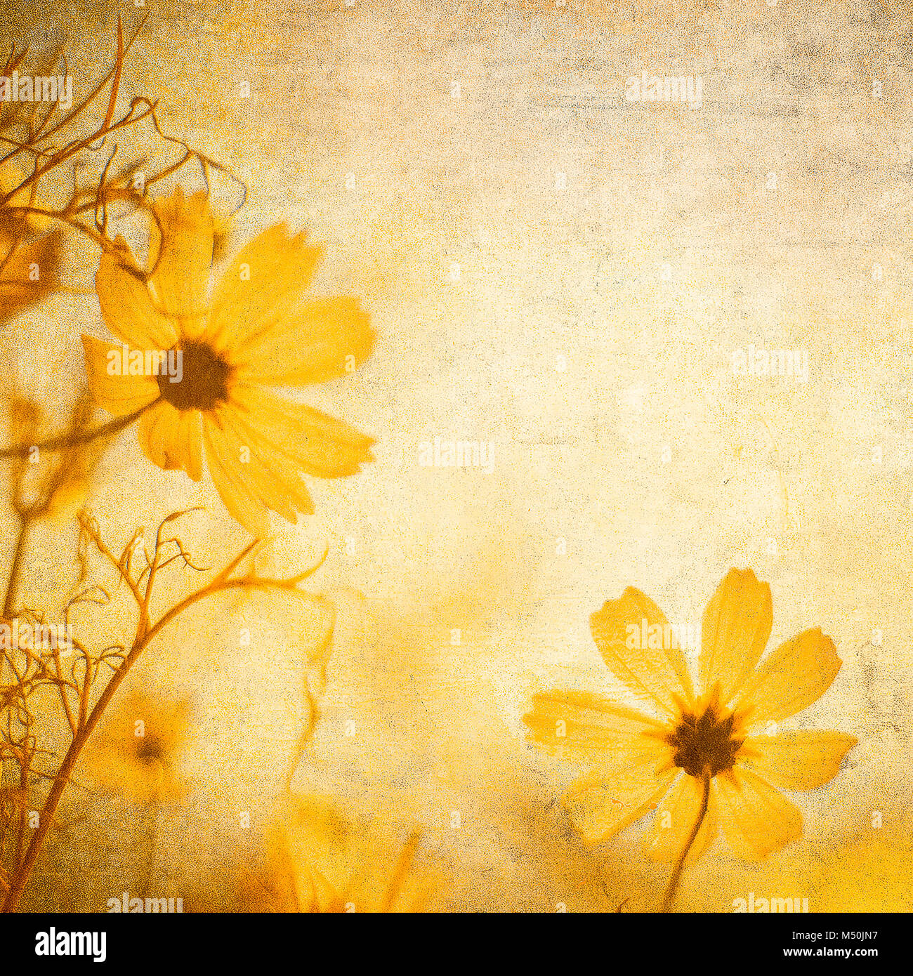 grunge floral background with space for text or image Stock Photo - Alamy