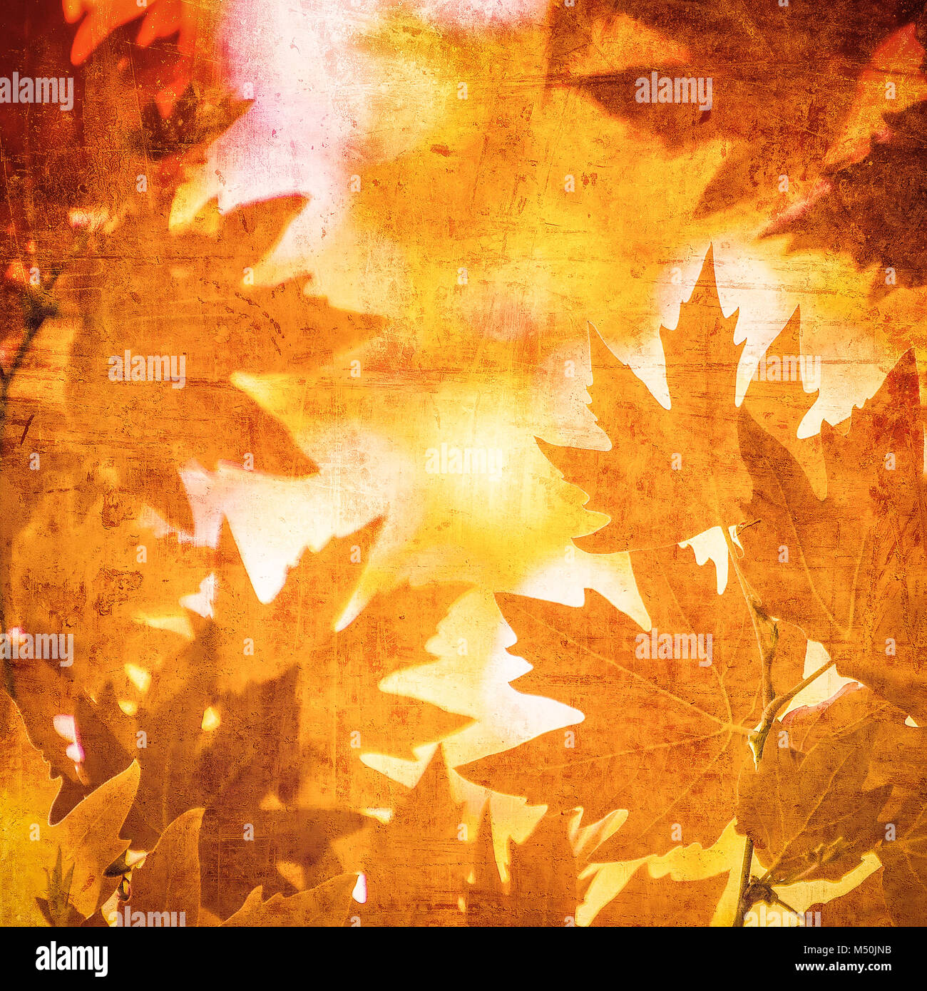 grunge background with autumn leaves Stock Photo - Alamy