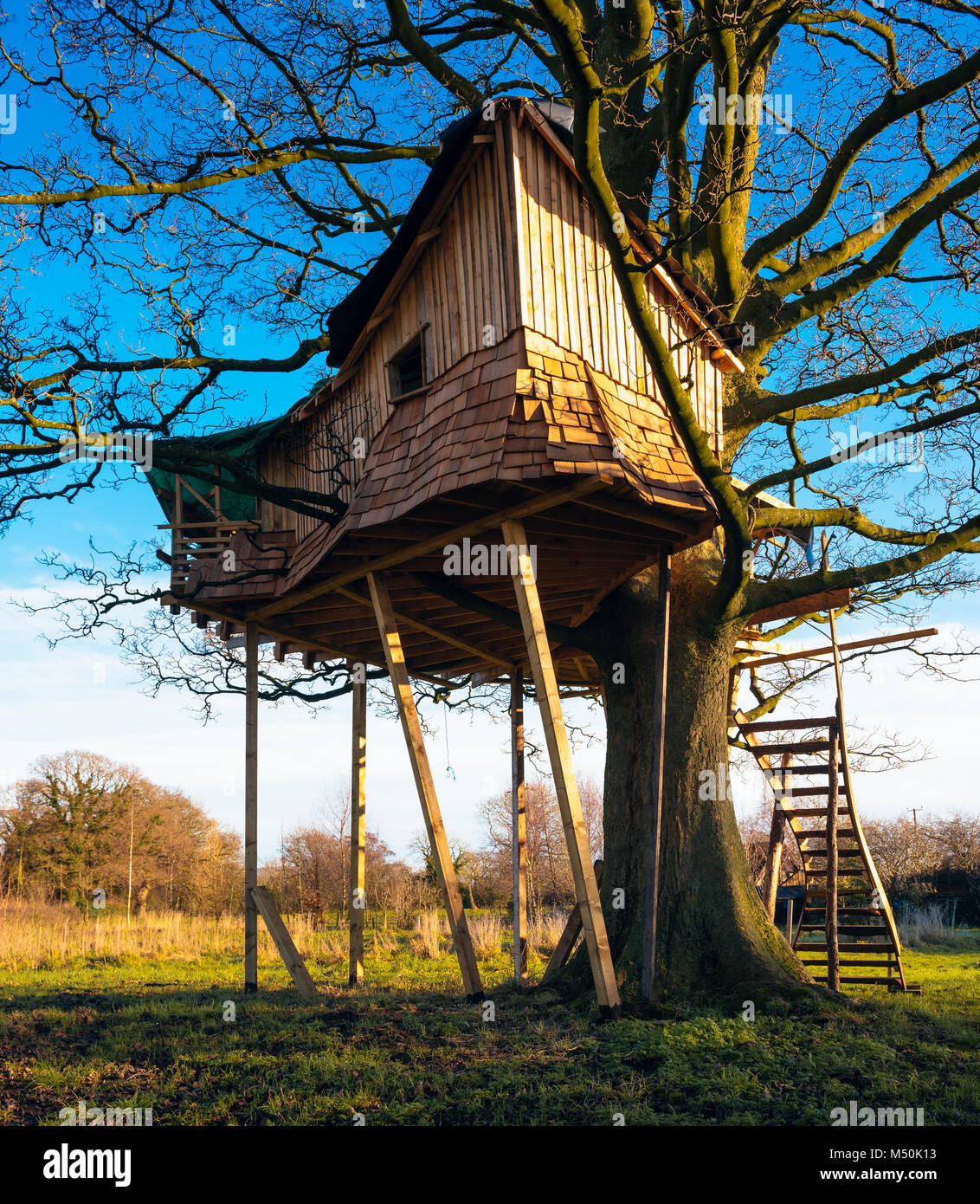 Treehouse hi-res stock photography and images - Alamy