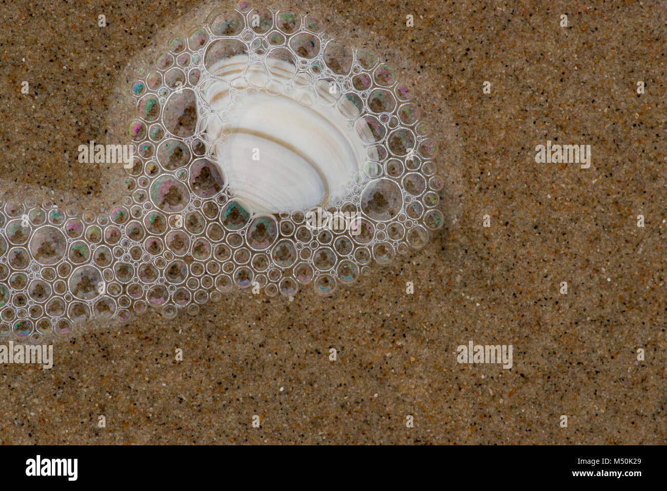 Macrophotography bubbles hi-res stock photography and images - Alamy