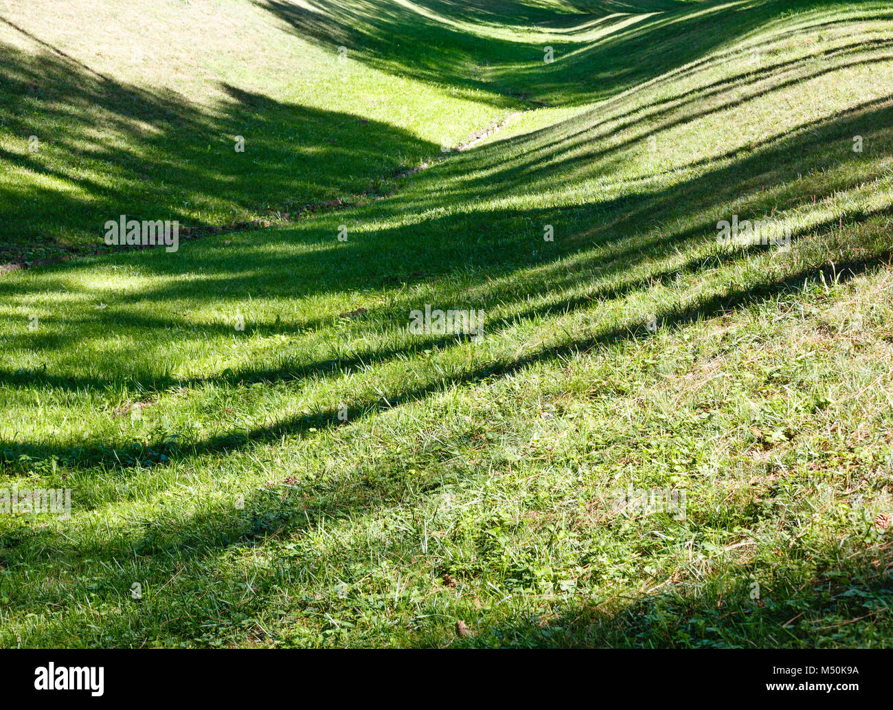 Green grass lawn with shadows Stock Photo - Alamy