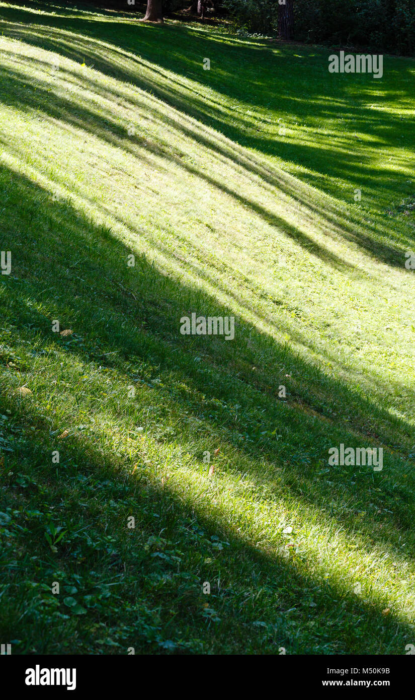 Green grass lawn with shadows Stock Photo - Alamy