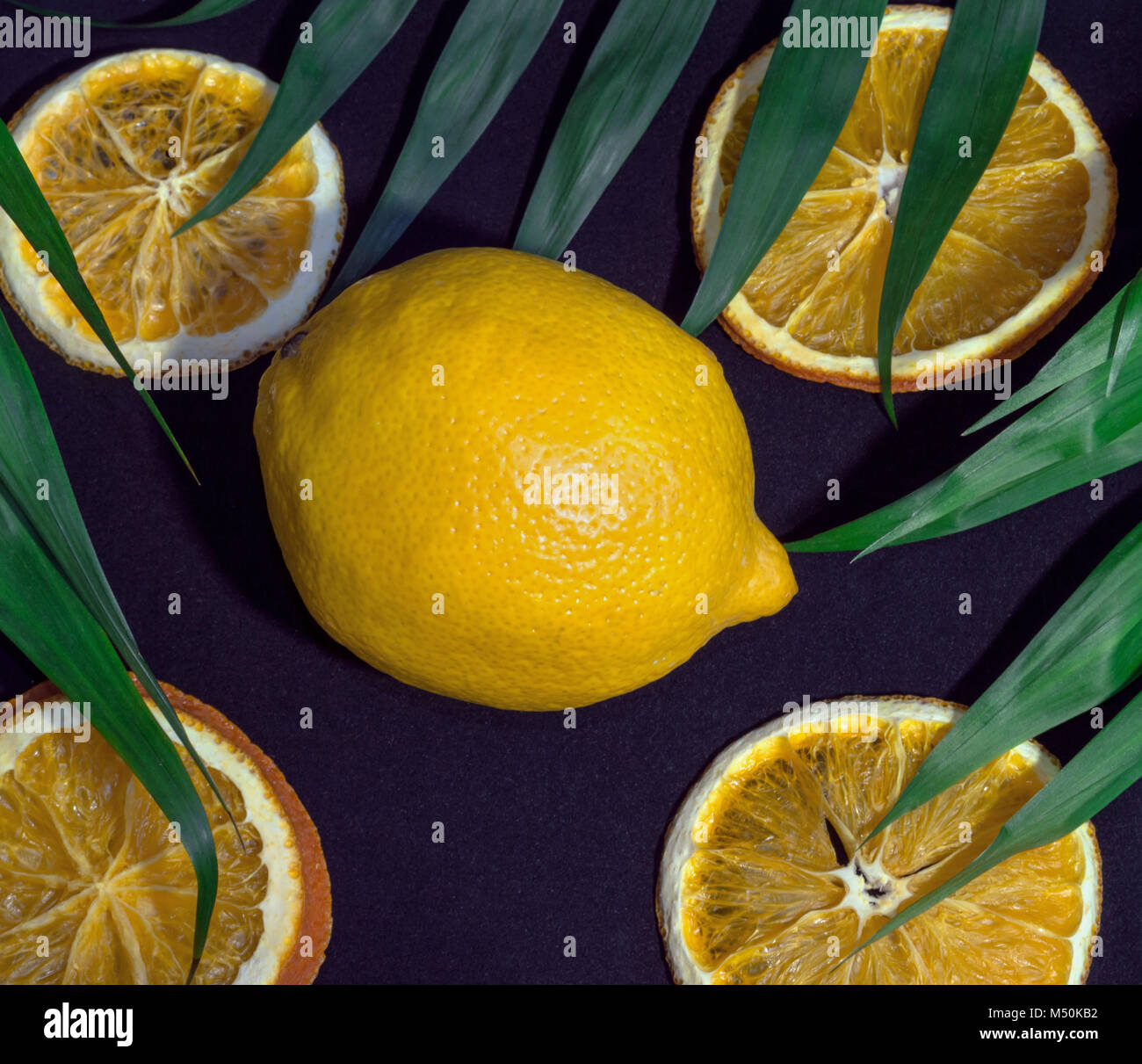 citrus fruits on dark background with palm leaves parts Stock Photo - Alamy